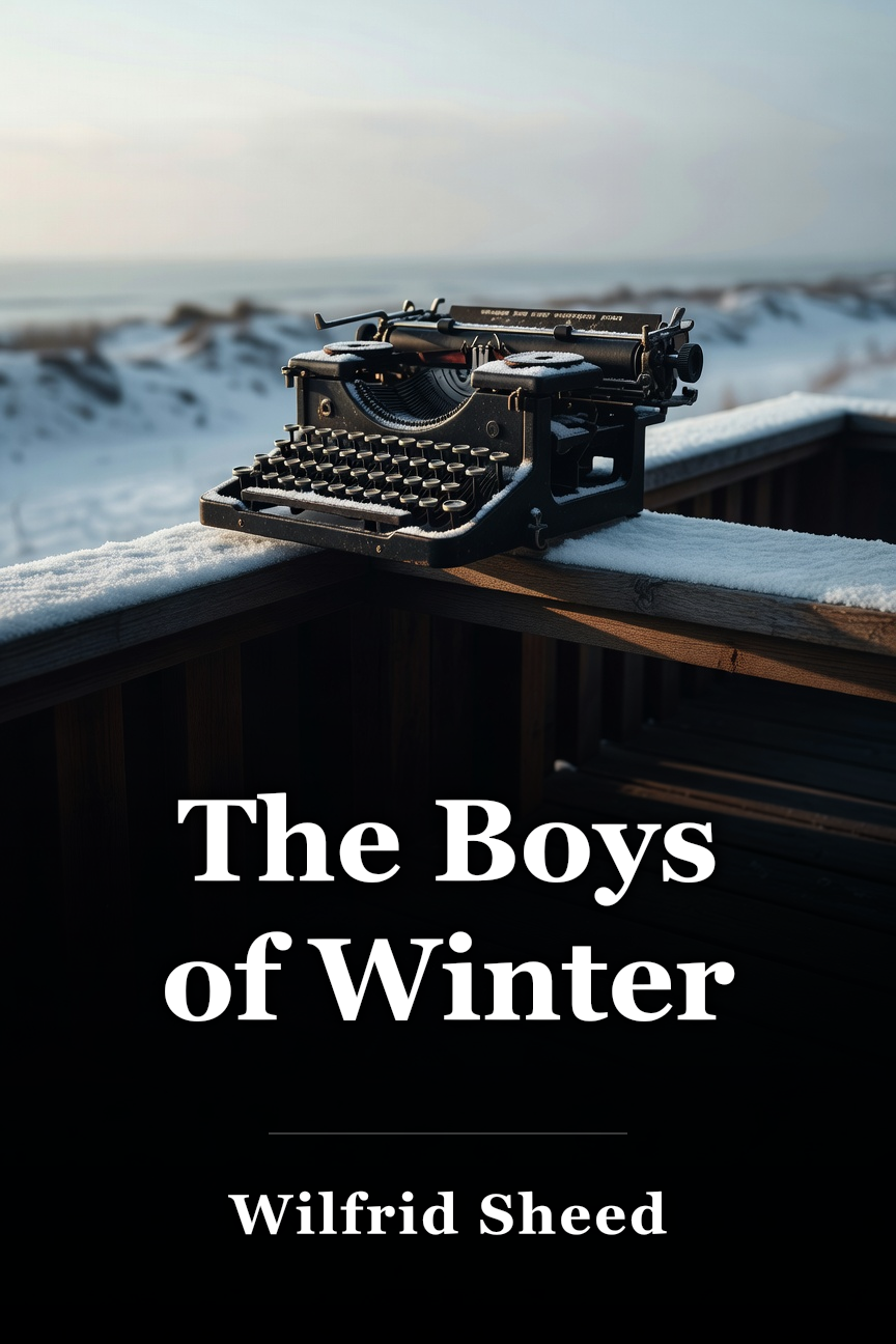 The Boys of Winter book cover