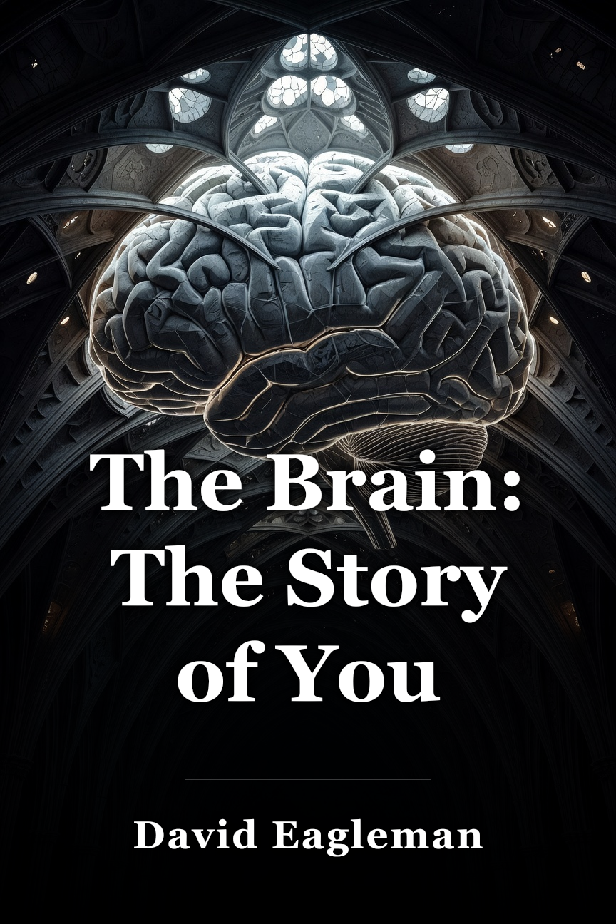 The Brain: The Story of You book cover