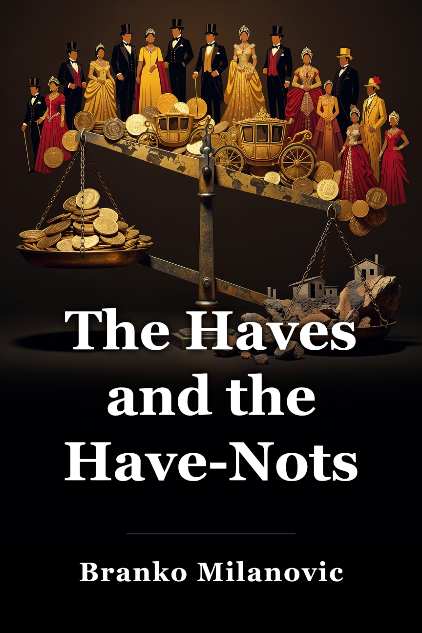 The Haves and the Have-Nots book cover