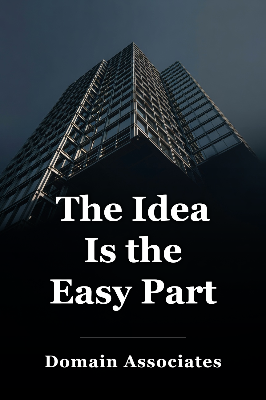 The Idea Is the Easy Part book cover