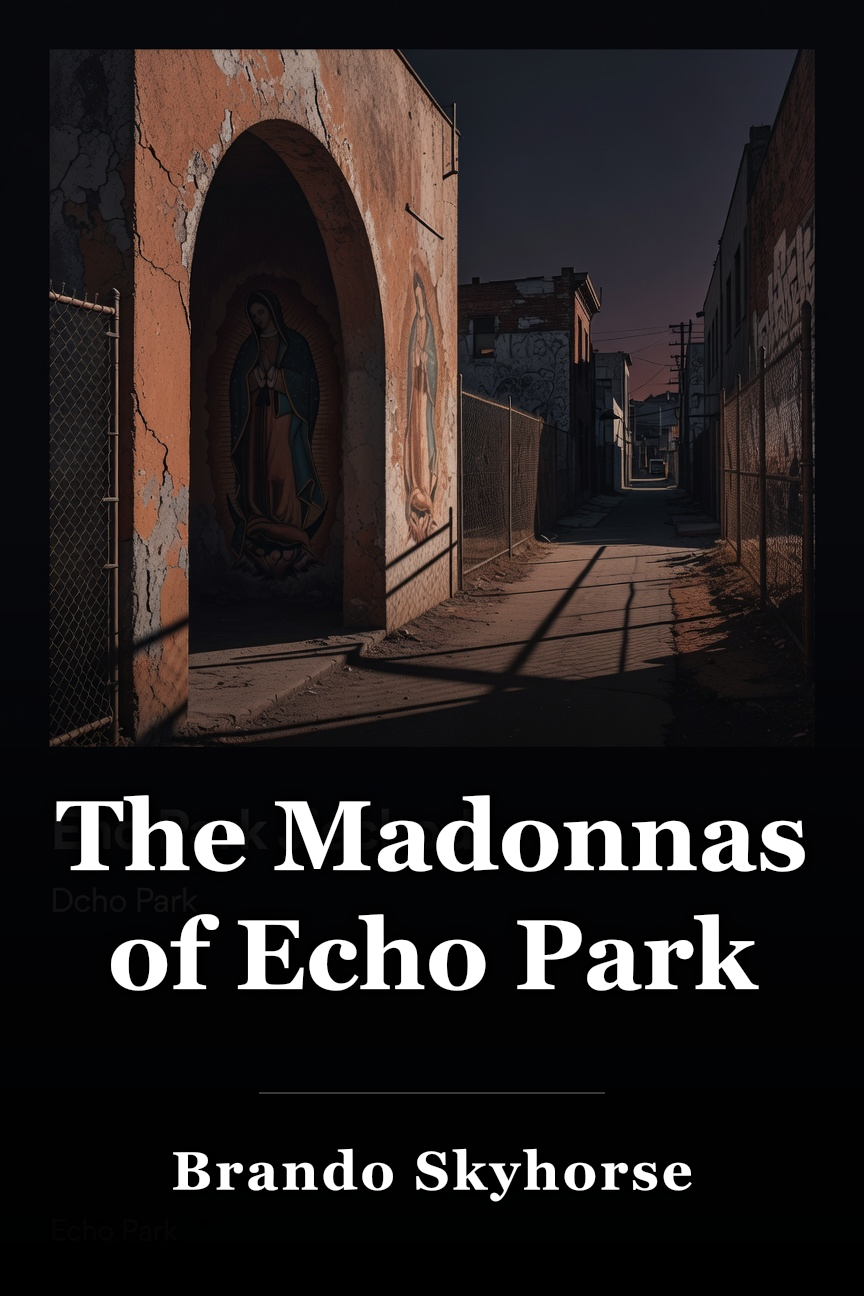 The Madonnas of Echo Park book cover