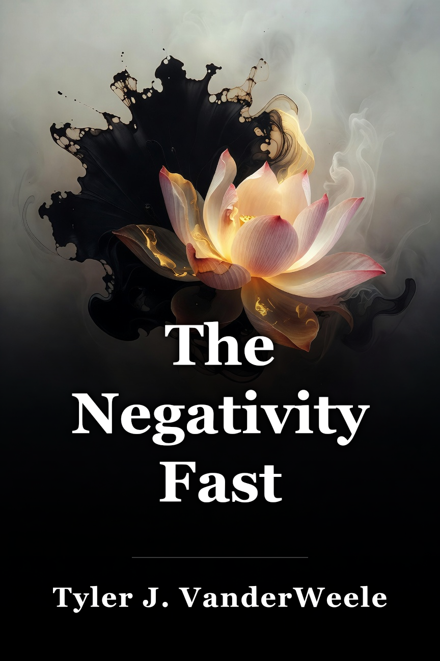 The Negativity Fast book cover