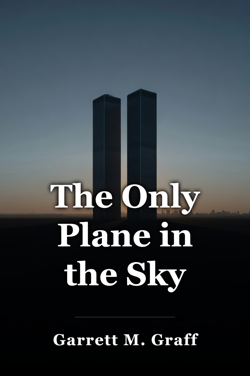 The Only Plane in the Sky book cover