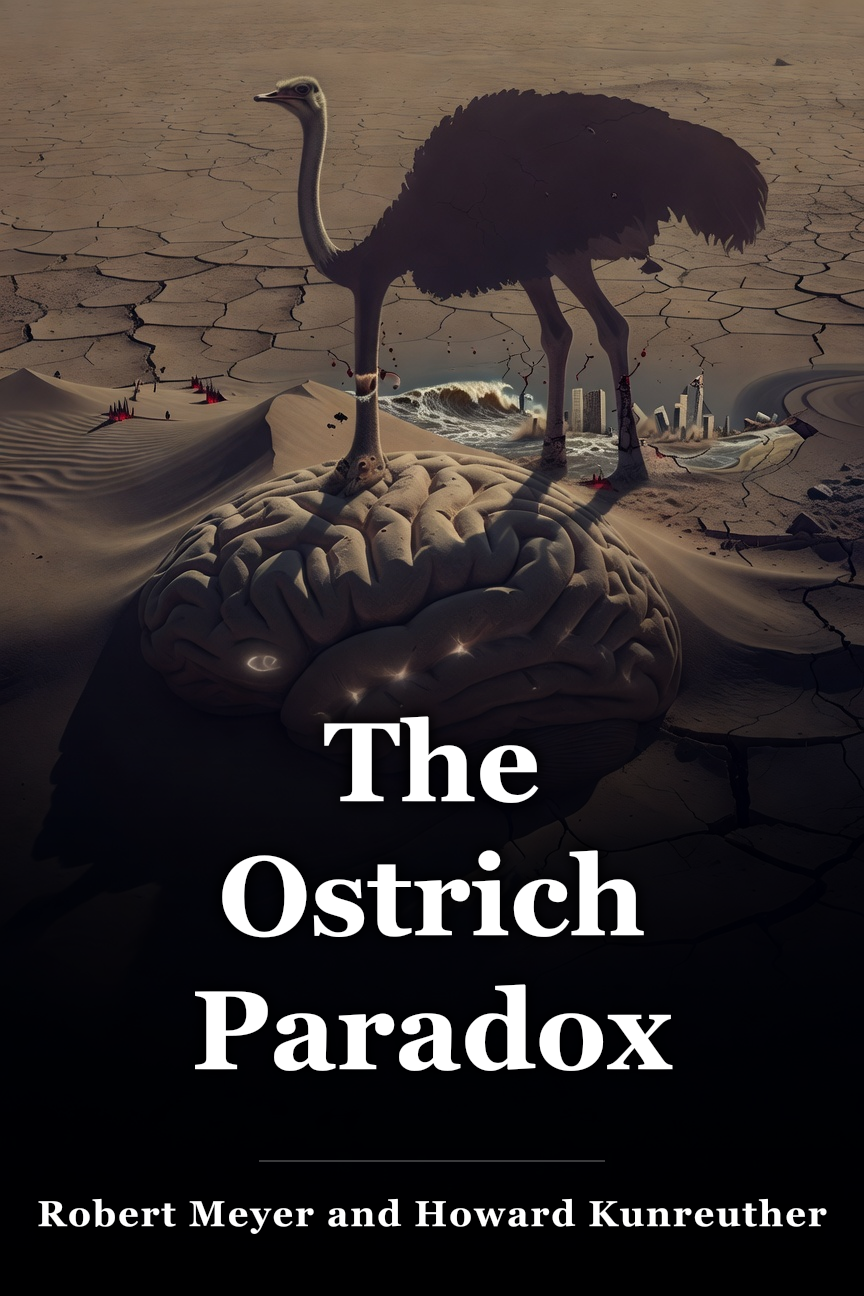 The Ostrich Paradox book cover