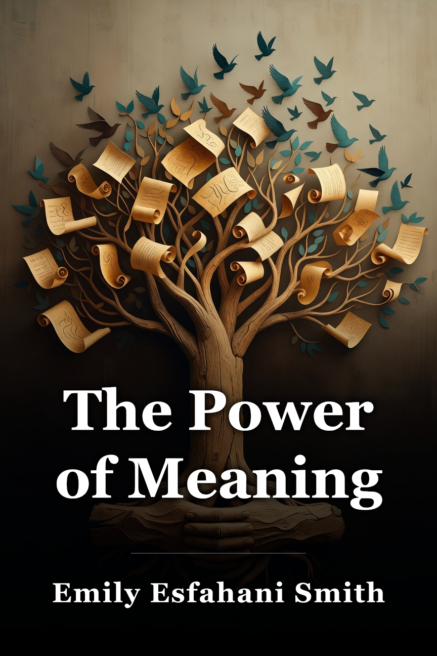 The Power of Meaning book cover