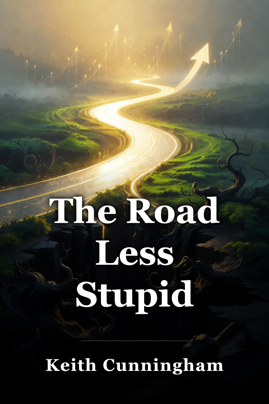 The Road Less Stupid book cover