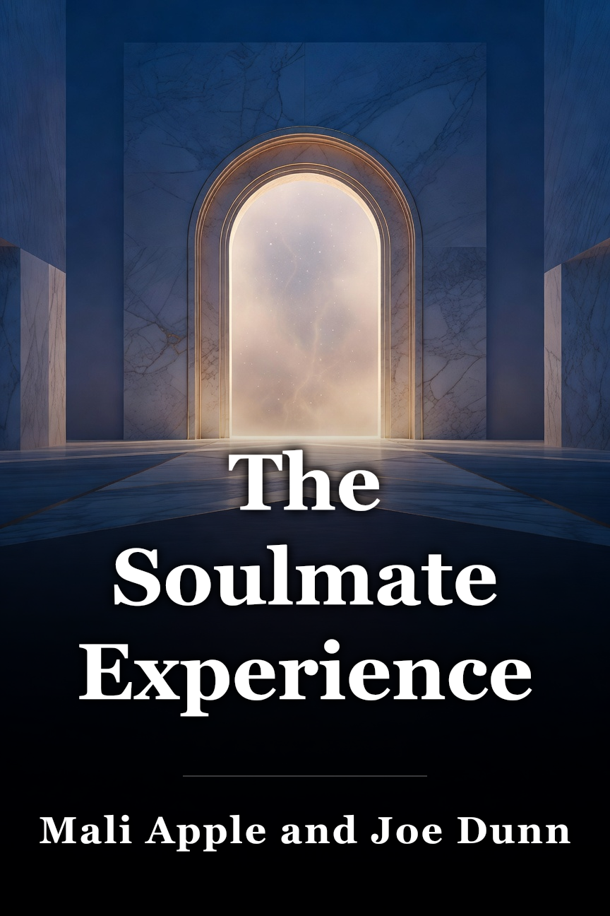 The Soulmate Experience book cover