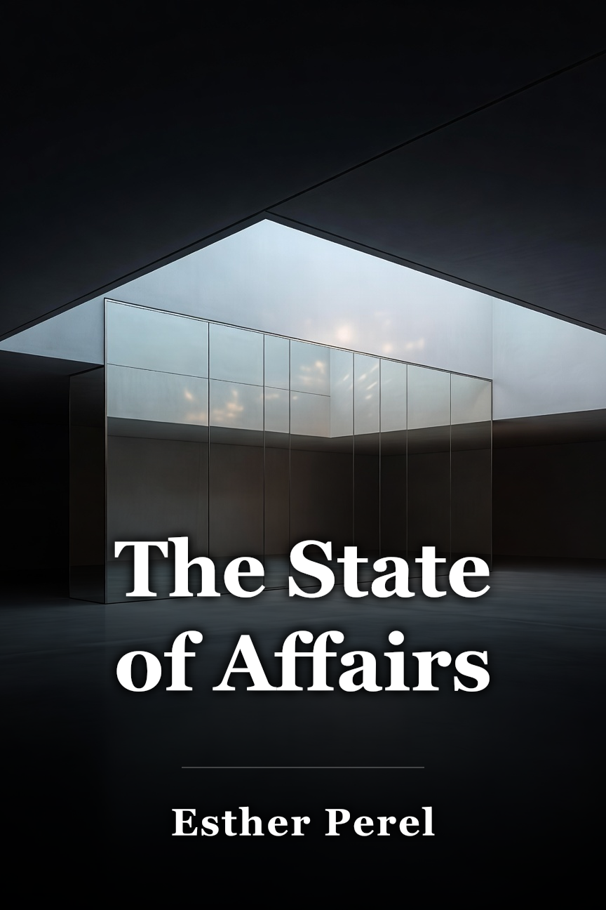 The State of Affairs book cover