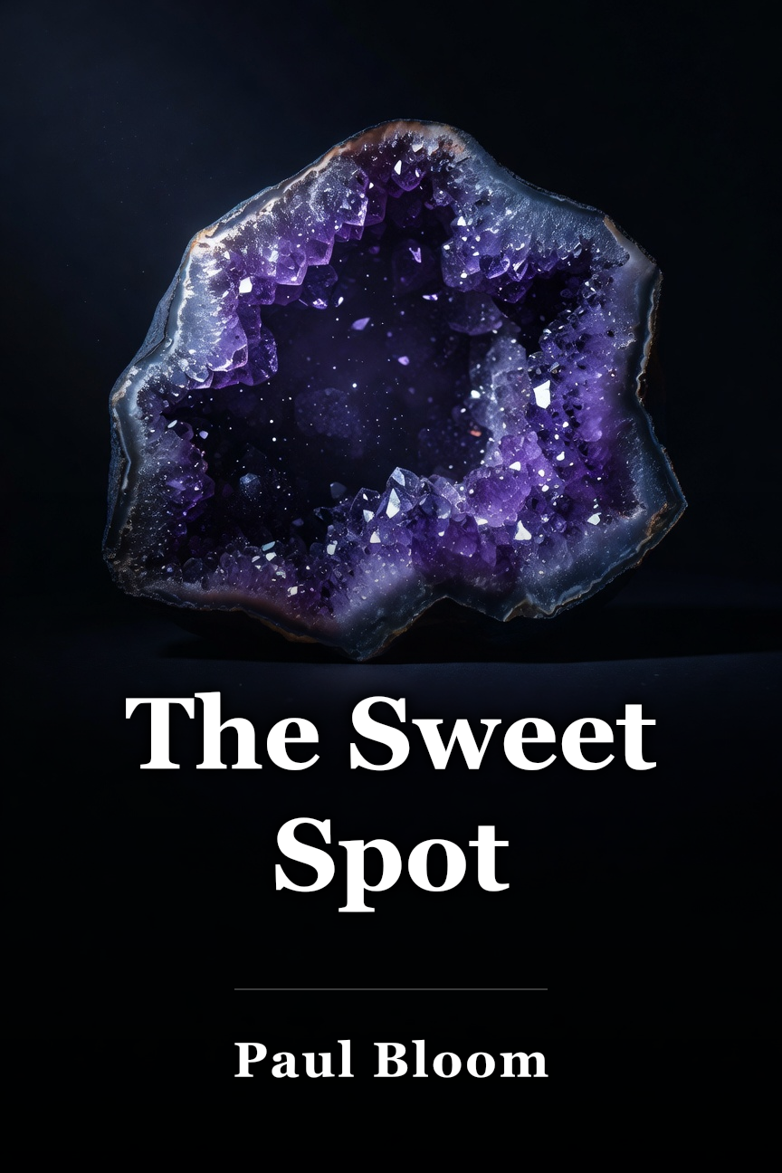 The Sweet Spot book cover
