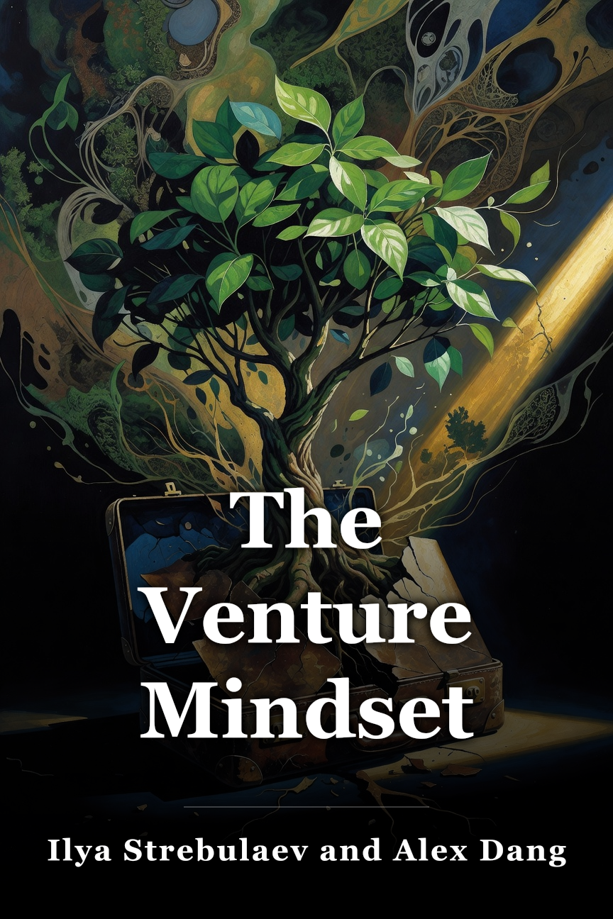 The Venture Mindset book cover
