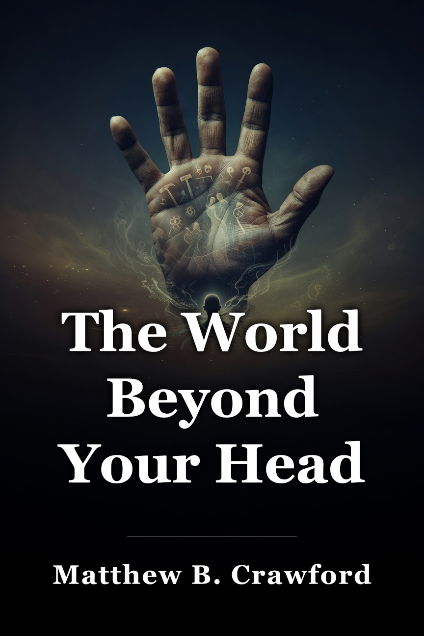 The World Beyond Your Head book cover
