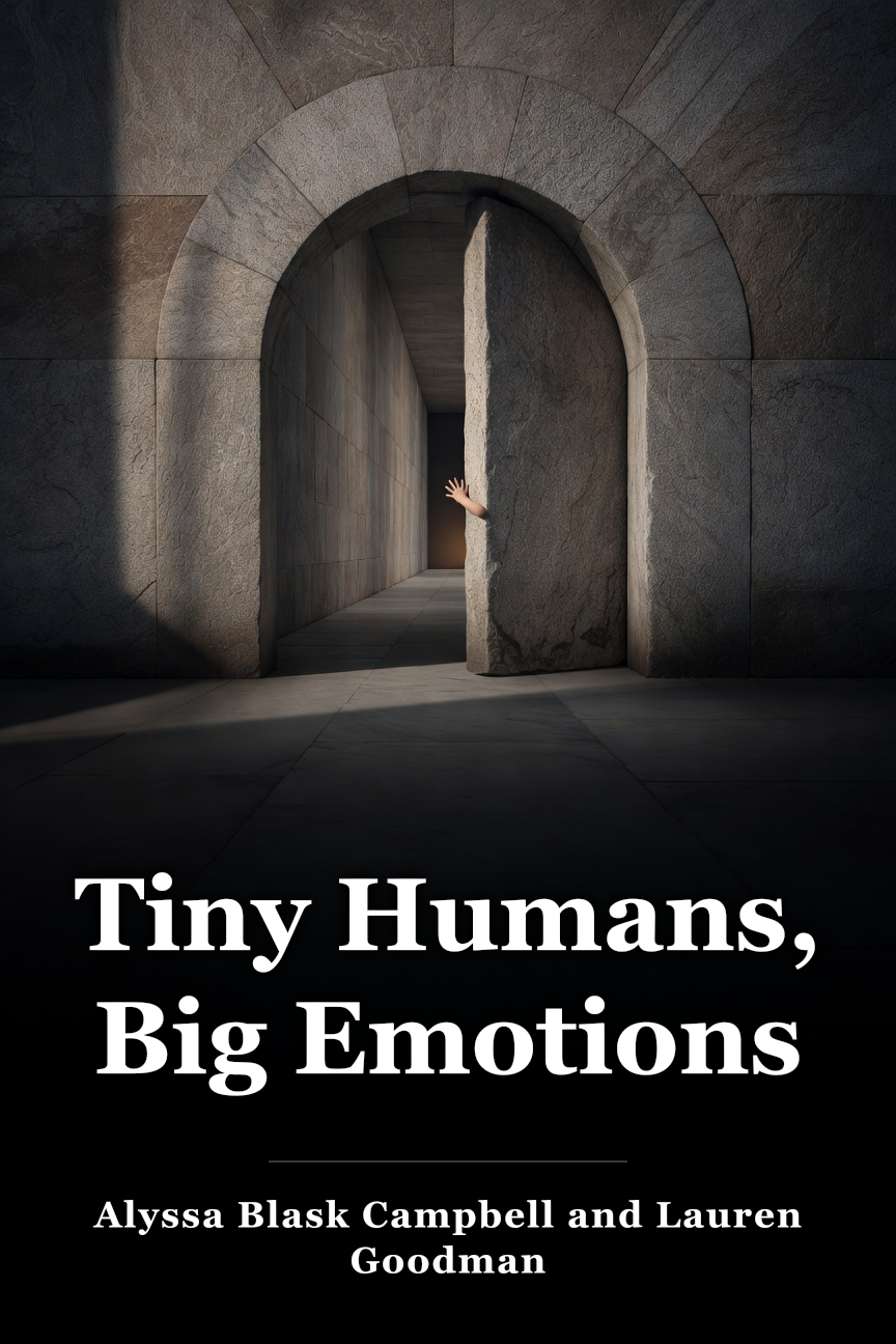 Tiny Humans, Big Emotions book cover