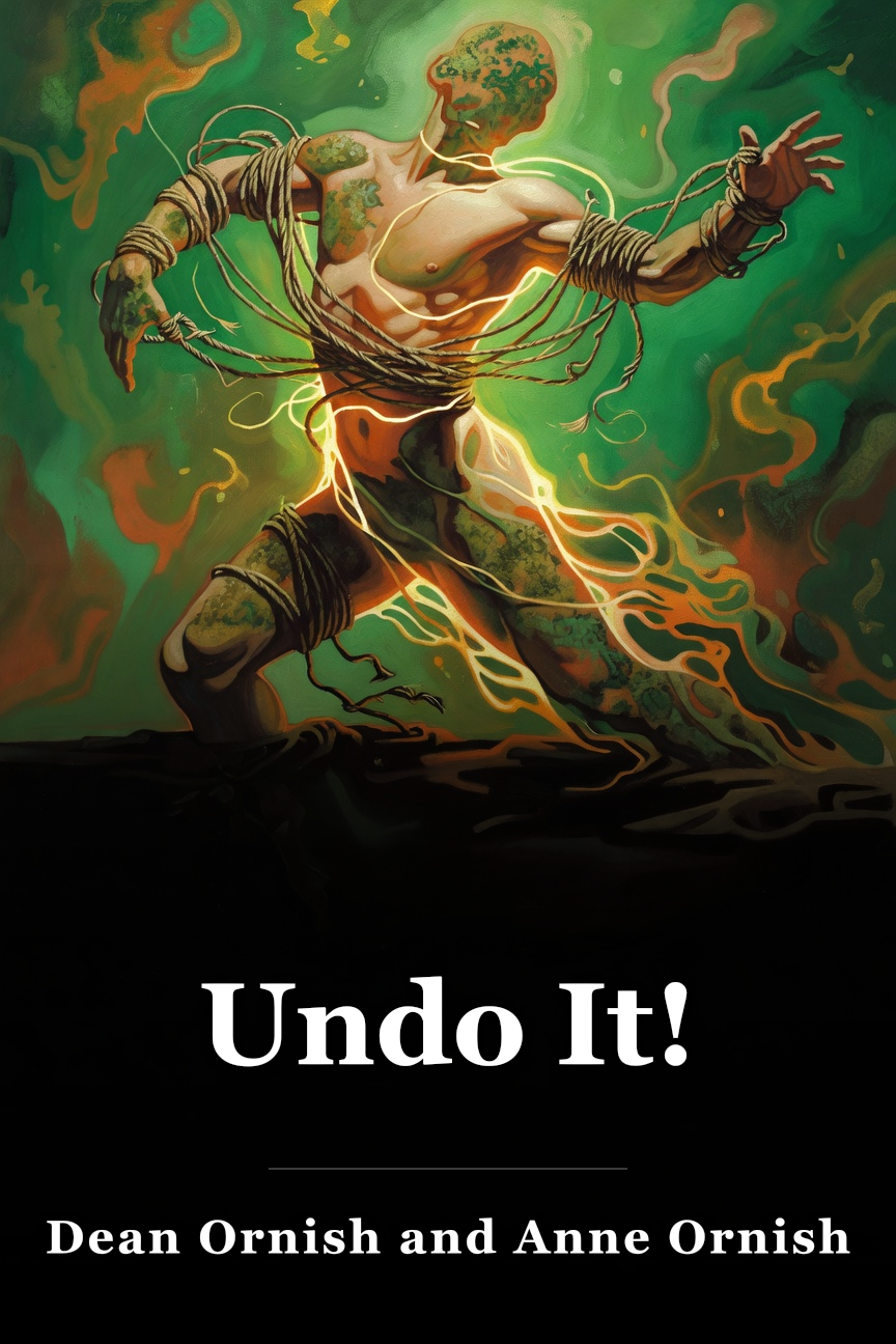 Undo It! book cover