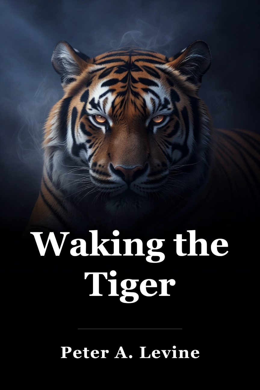 Waking the Tiger book cover