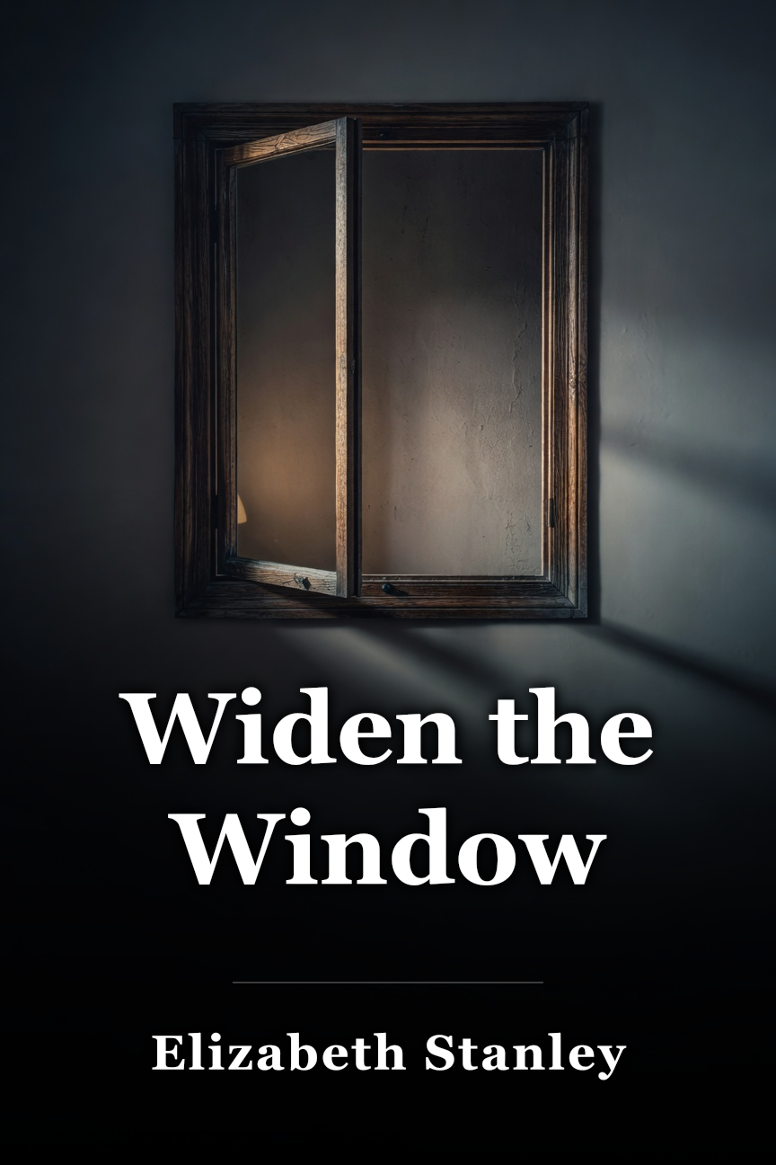 Widen the Window book cover