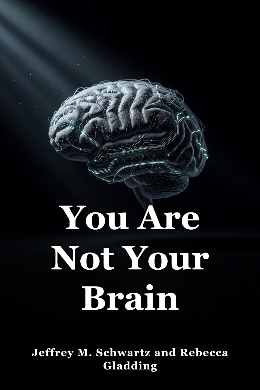 You Are Not Your Brain book cover