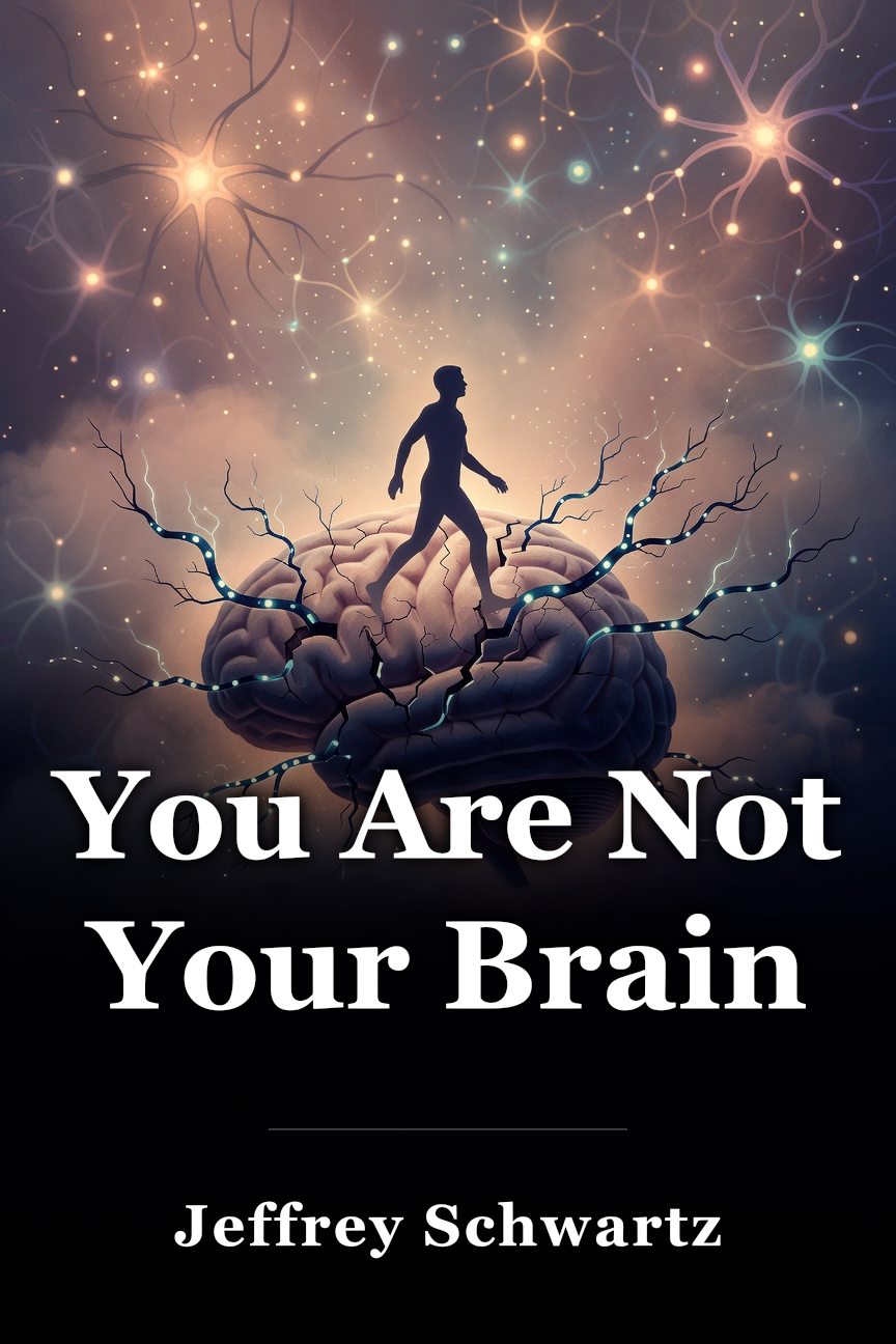 You Are Not Your Brain book cover