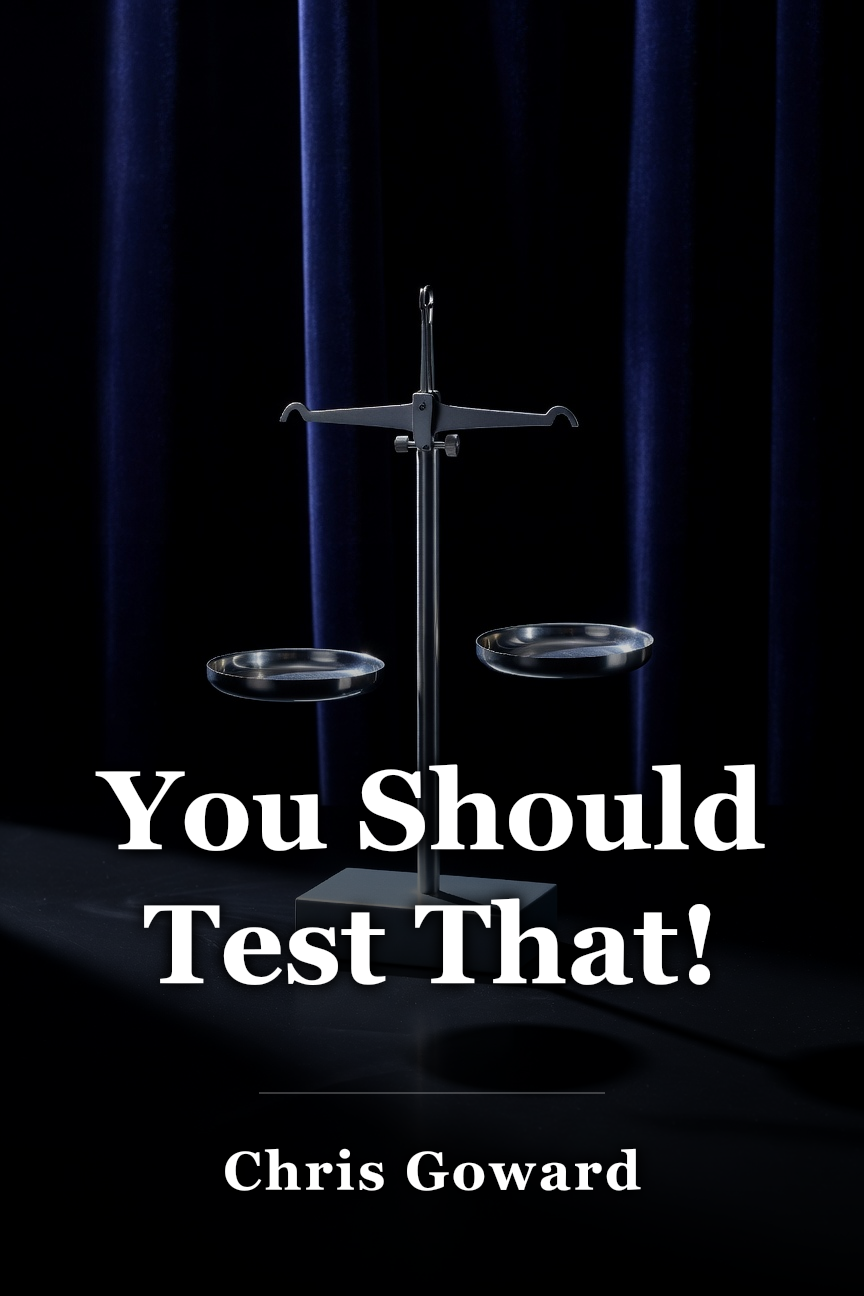 You Should Test That! book cover